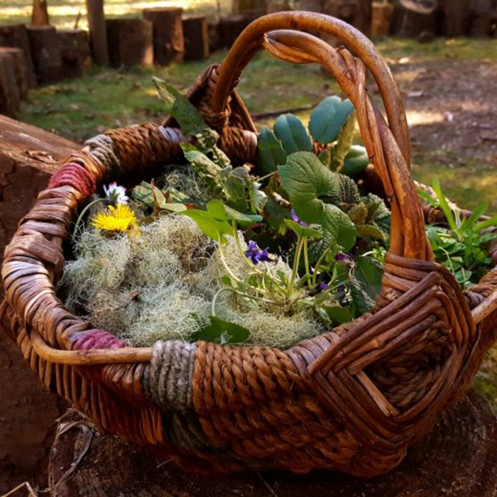 Edible wild herbs for your garden in spring that heal and revitalize ...