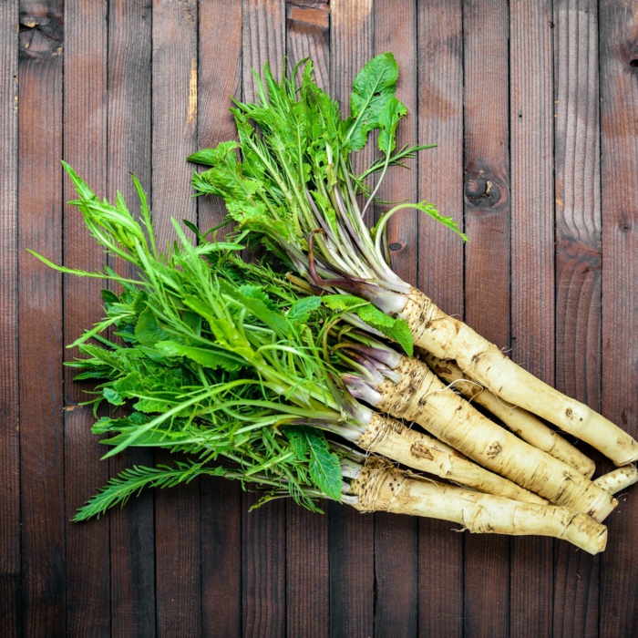 Edible wild herbs for your garden in spring that heal and revitalize ...