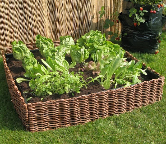 44 Beautiful DIY Woven Wattle inspirations for garden decorations ...