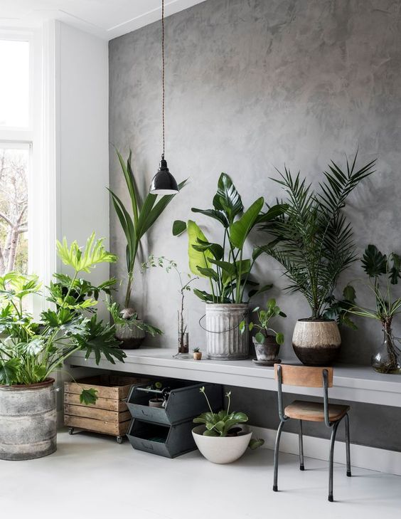 Rustic wallpaper: 36 Ideas to transform amazingly your decor | My ...