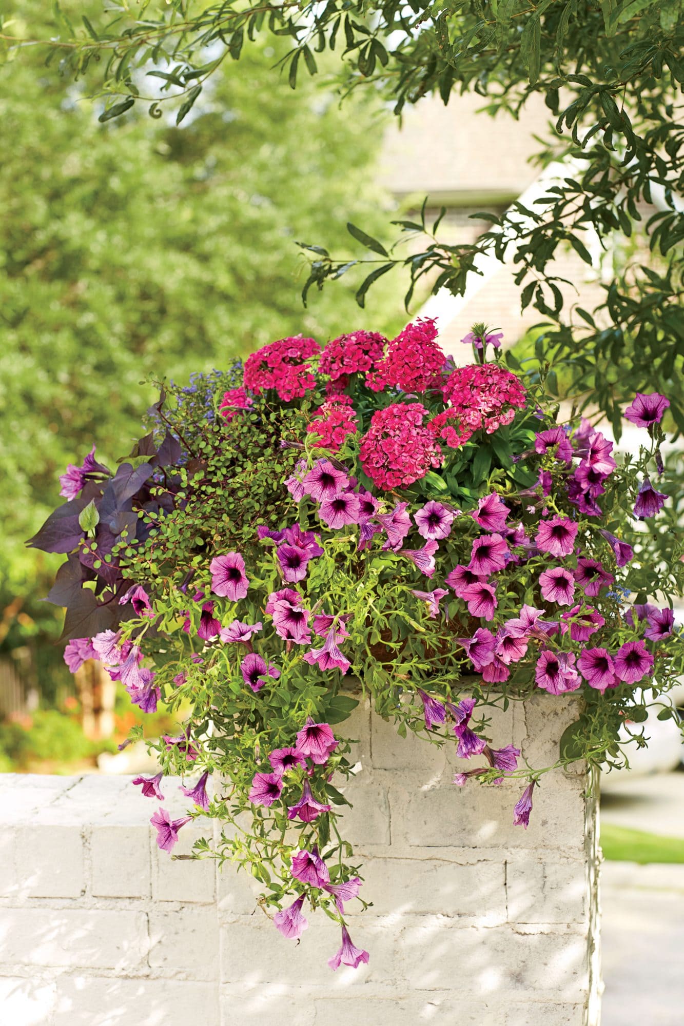 Flower decoration for your yard and garden: 34 beautiful ideas for ...