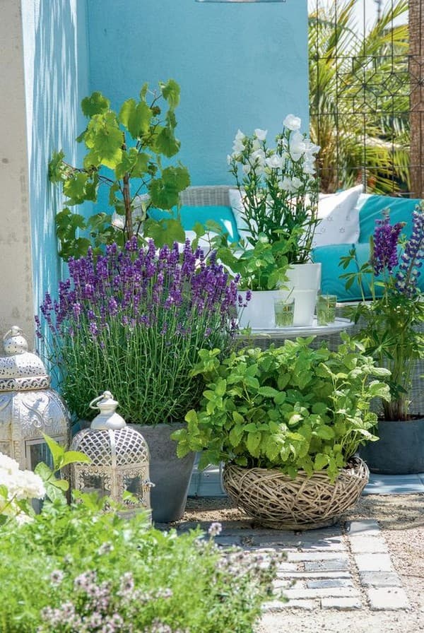 Flower decoration for your yard and garden: 34 beautiful ideas for ...