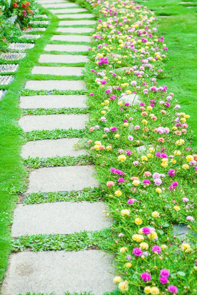 20 Most beautiful ground cover flowers - great ideas for a perfect ...