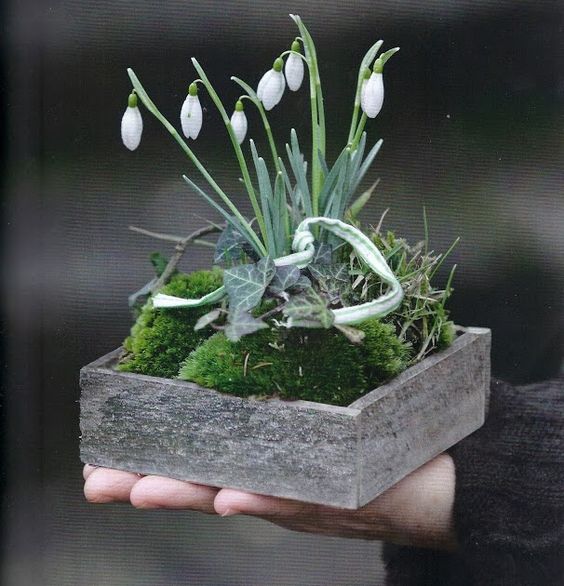 The snowdrop season is here - 26 beautiful ideas for decorating your ...