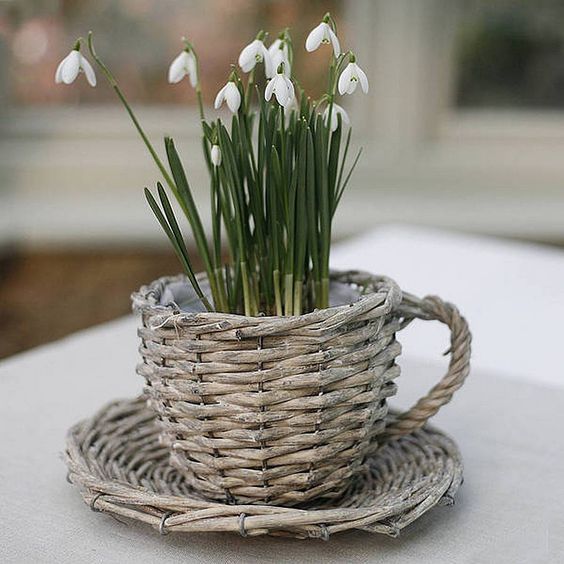 The snowdrop season is here - 26 beautiful ideas for decorating your ...