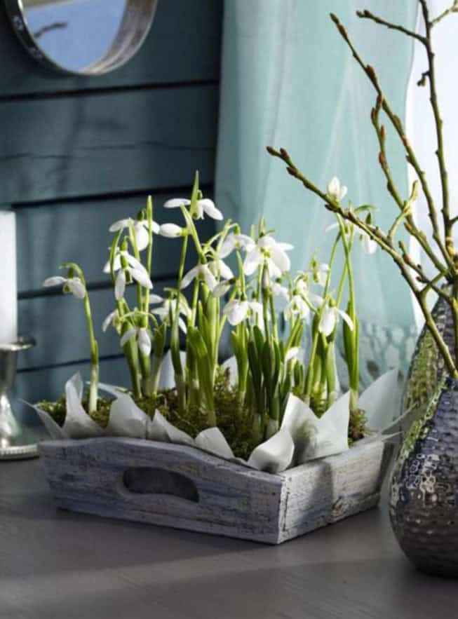 The snowdrop season is here - 26 beautiful ideas for decorating your ...