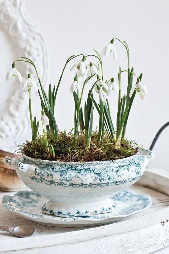 The snowdrop season is here - 26 beautiful ideas for decorating your ...