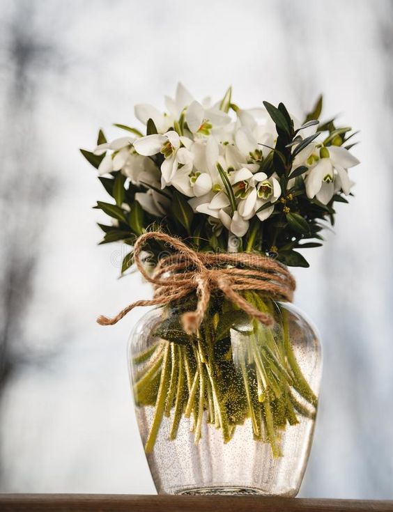 The snowdrop season is here - 26 beautiful ideas for decorating your ...