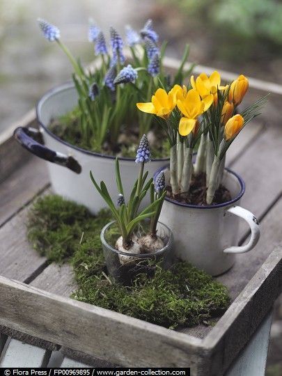 Turn old kitchen utensils into beautiful decorations for spring: 22 ...