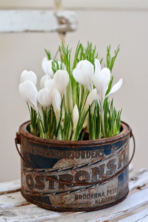 Turn old kitchen utensils into beautiful decorations for spring: 22 ...
