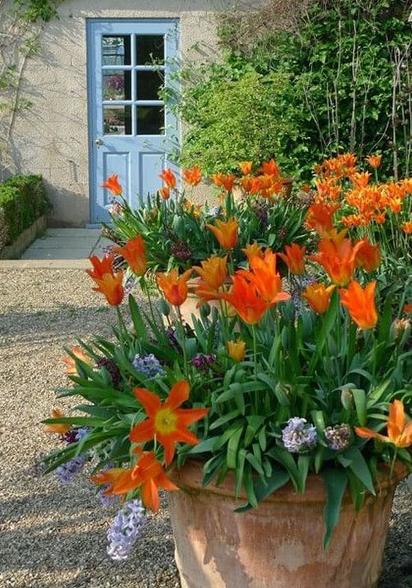 Welcome spring in the yard and garden: 50 colorful flower decorations ...