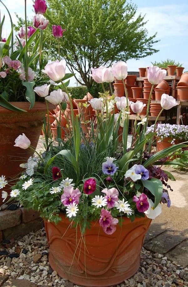 Welcome spring in the yard and garden: 50 colorful flower decorations ...