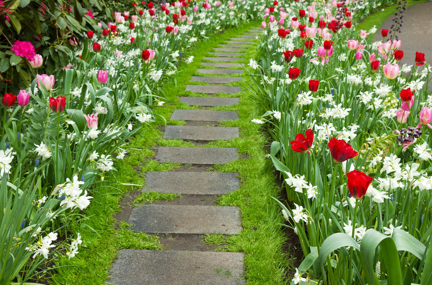 Welcome spring in the yard and garden: 50 colorful flower decorations ...