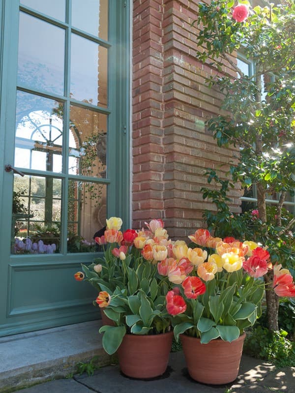 Welcome spring in the yard and garden: 50 colorful flower decorations ...