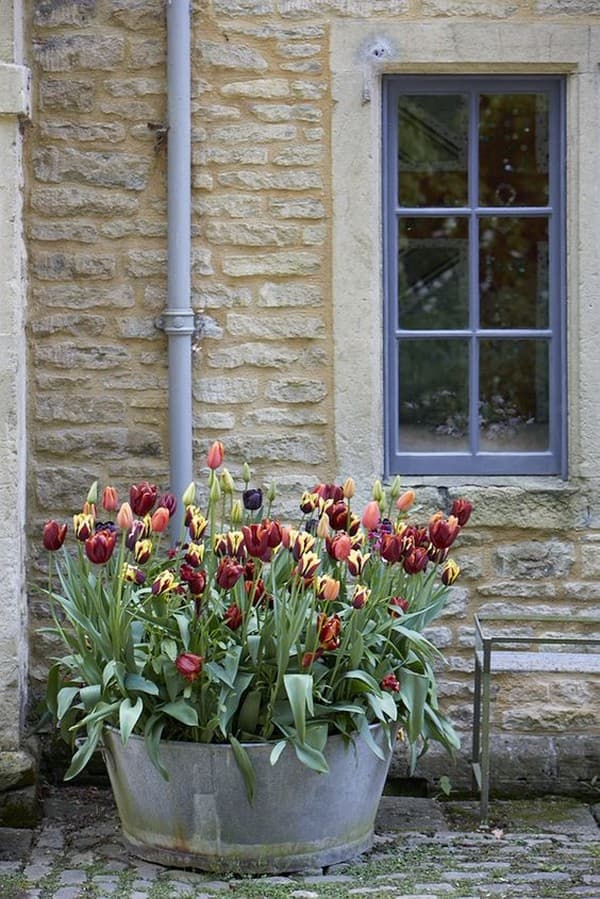 26 Great ideas and decorations for a spring atmosphere in your yard and ...
