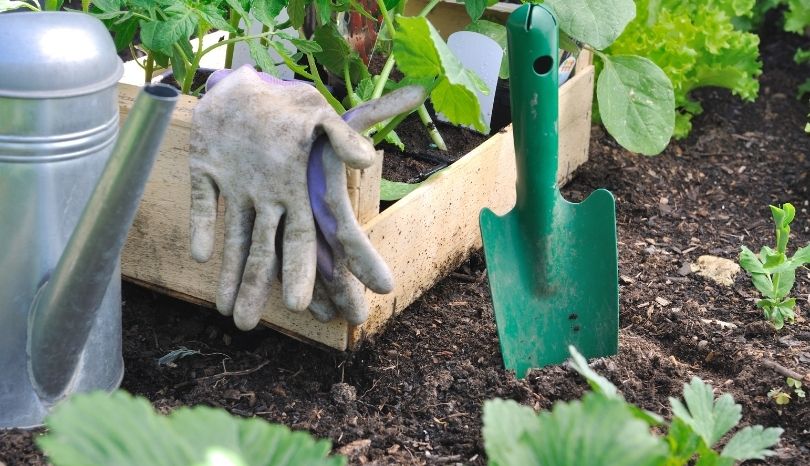 April, work in the garden - all you need to know for a great vegetable ...