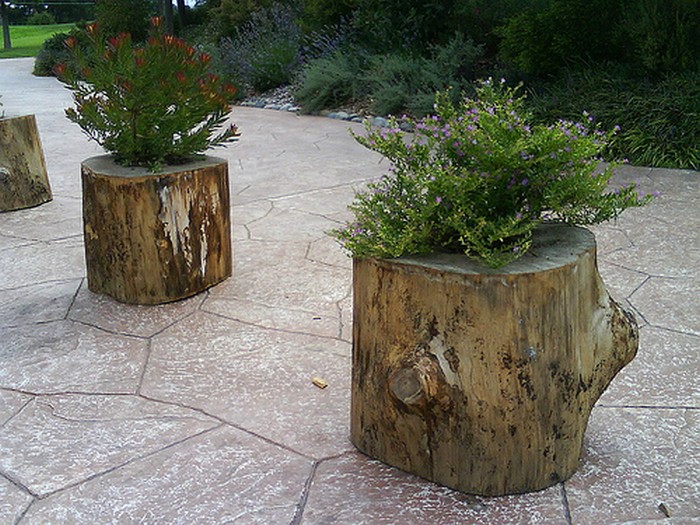 26 Beautiful inspirations with tree trunks for original home ...