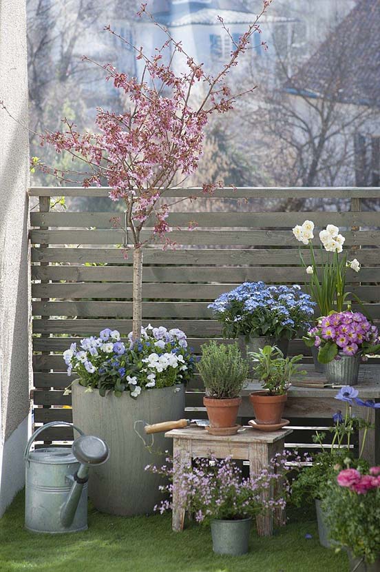 Keys to refresh and enjoy your terrace - balcony in the spring: 25 ...