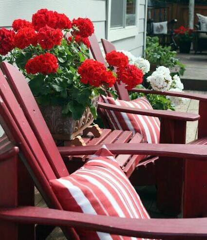 30 Amazing ideas with red ... touches in your yard, garden or balcony ...