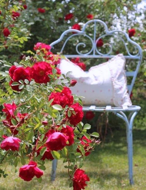 30 Amazing ideas with red ... touches in your yard, garden or balcony ...