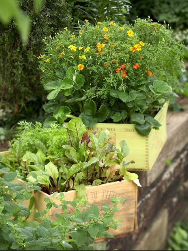 Ordinary wooden boxes filled with your favorite flowers: 20 Beautiful ...