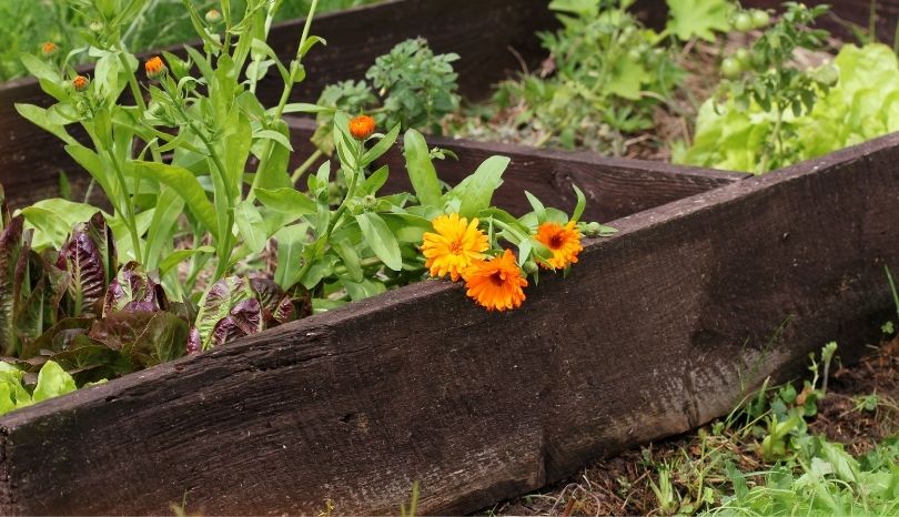 36 DIY Ideas with high vegetable beds, that you can do only in one day ...