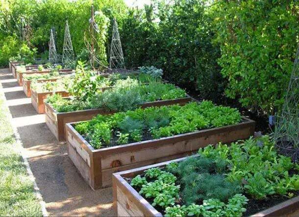 36 DIY Ideas with high vegetable beds, that you can do only in one day ...