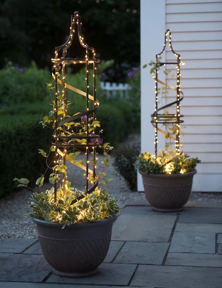 Beautiful ideas to add LED lights in outdoor pots to magically ...