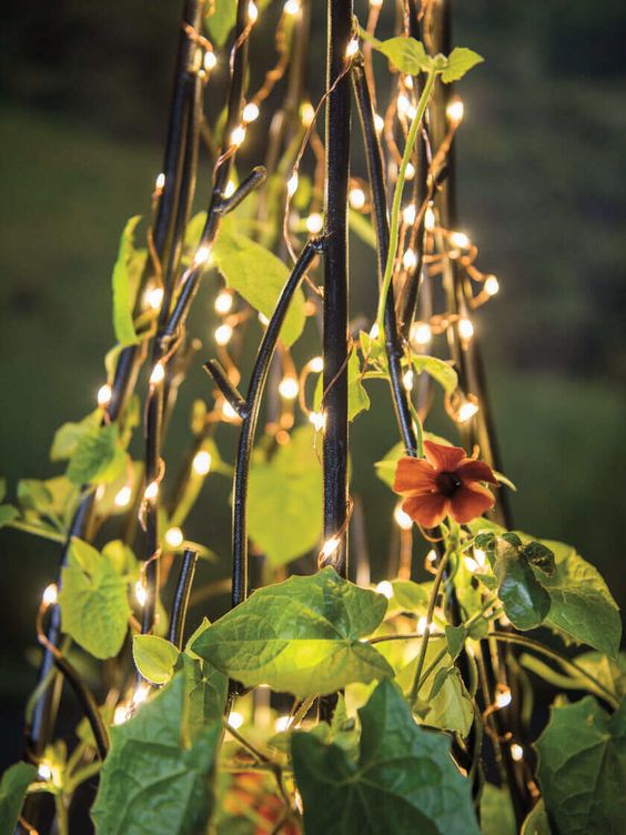 Beautiful ideas to add LED lights in outdoor pots to magically ...
