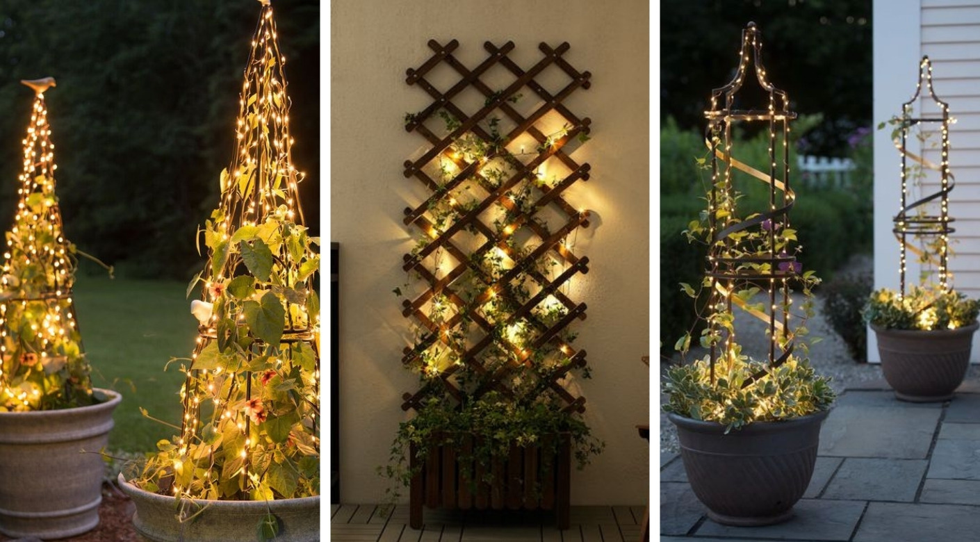 Beautiful ideas to add LED lights in outdoor pots to magically ...