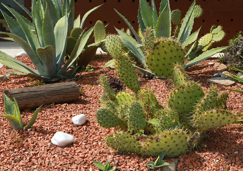 How to boost your garden design with gravel: Paths, decorations and ...