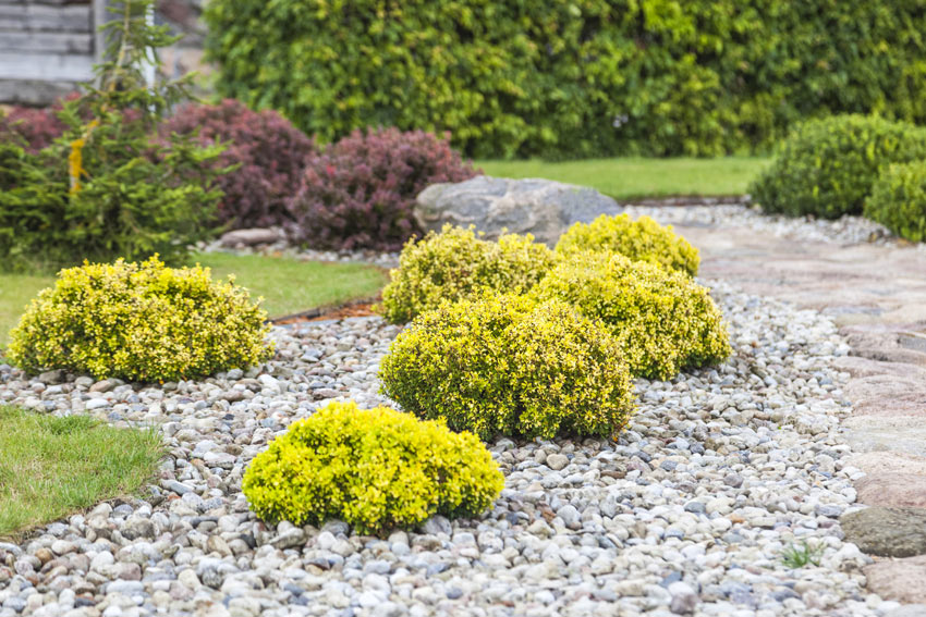 How to boost your garden design with gravel: Paths, decorations and ...