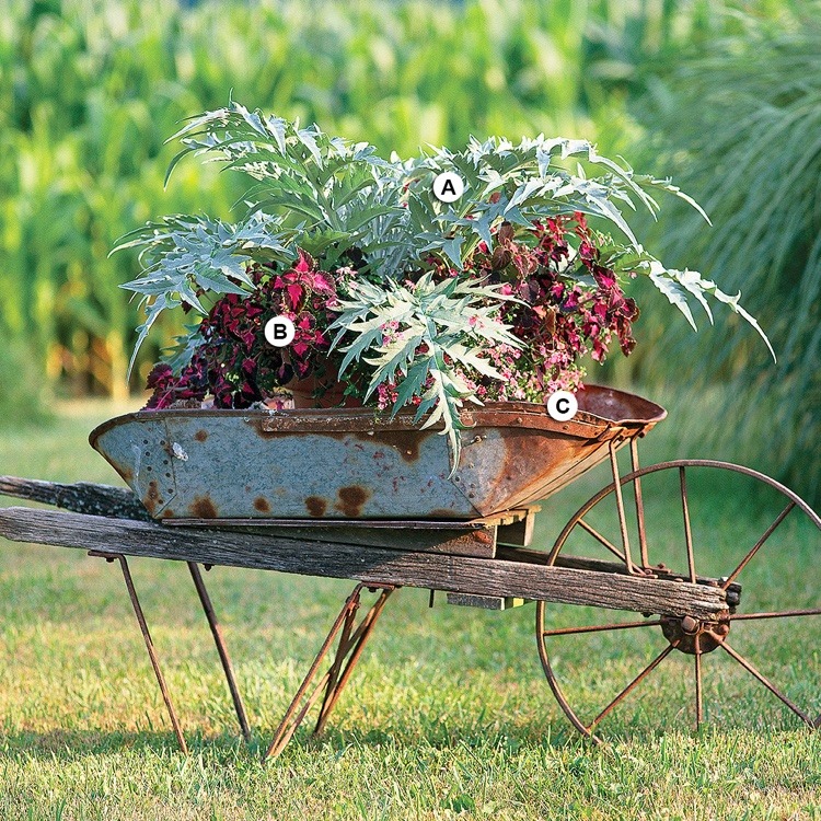 Planting in the wheelbarrow: 20 Amazing ideas with flowers, herbs, and ...