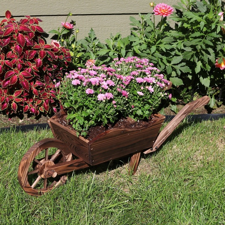 Planting in the wheelbarrow: 20 Amazing ideas with flowers, herbs, and ...