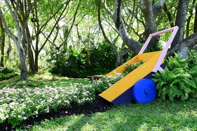 Planting in the wheelbarrow: 20 Amazing ideas with flowers, herbs, and ...