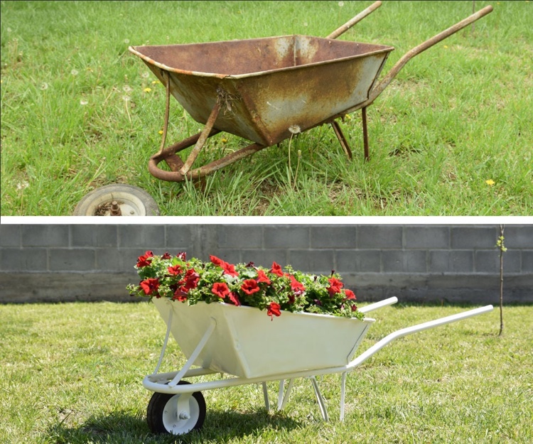 Planting in the wheelbarrow: 20 Amazing ideas with flowers, herbs, and ...