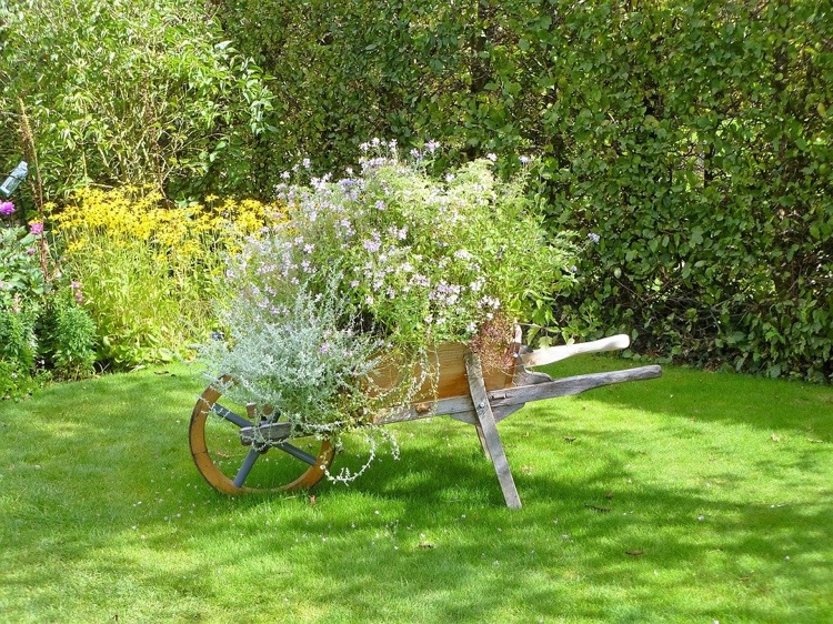 Planting in the wheelbarrow: 20 Amazing ideas with flowers, herbs, and ...