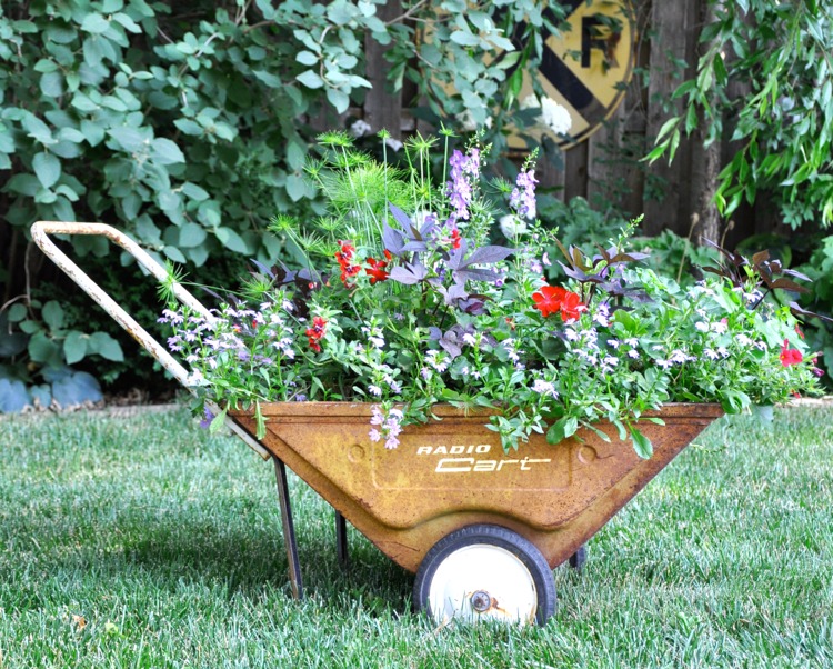 Planting in the wheelbarrow: 20 Amazing ideas with flowers, herbs, and ...