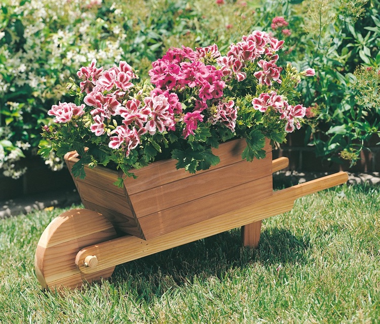 Planting in the wheelbarrow: 20 Amazing ideas with flowers, herbs, and ...