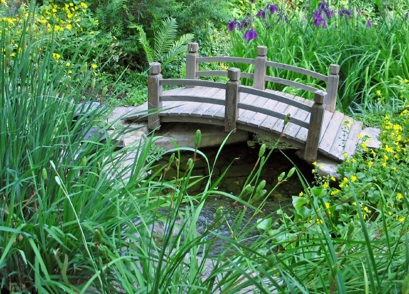 Small decorative and stylish garden bridges for summer cottages: 40 ...