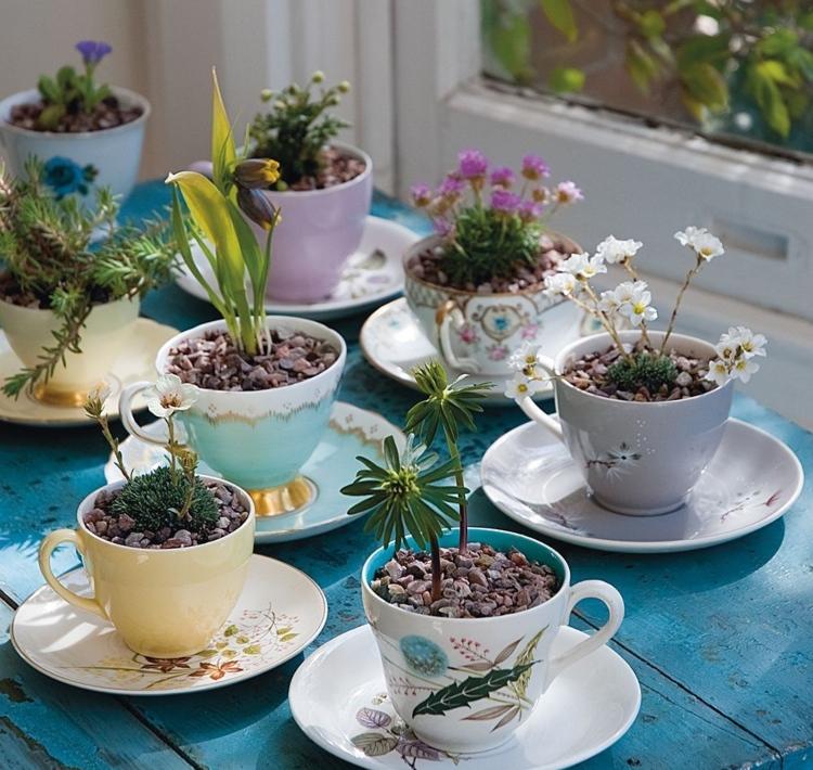 Planting in old tea crockery: 20 Ideas to create an amazing mini garden ...