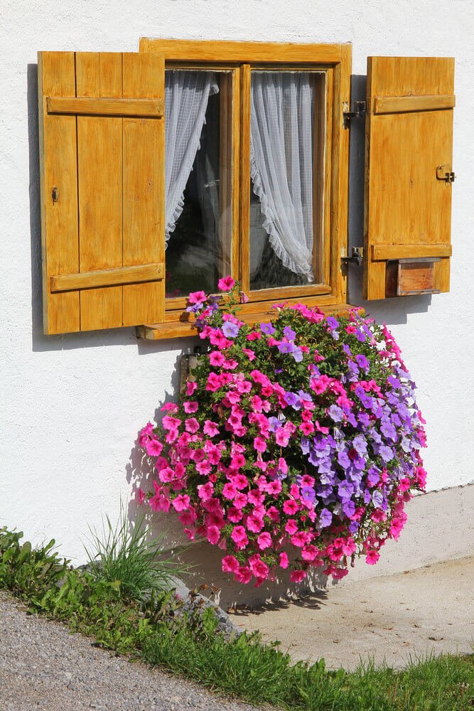 Absolutely gorgeous beautiful windows with colorful, magical flowers ...