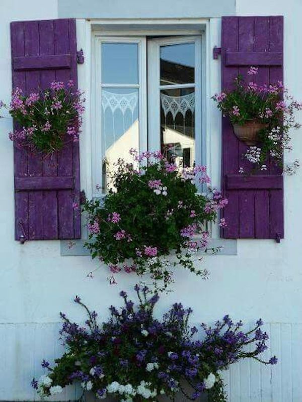Absolutely gorgeous beautiful windows with colorful, magical flowers ...