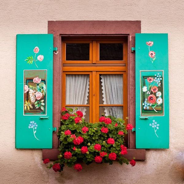 Absolutely gorgeous beautiful windows with colorful, magical flowers ...