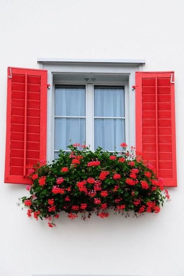 Absolutely gorgeous beautiful windows with colorful, magical flowers ...