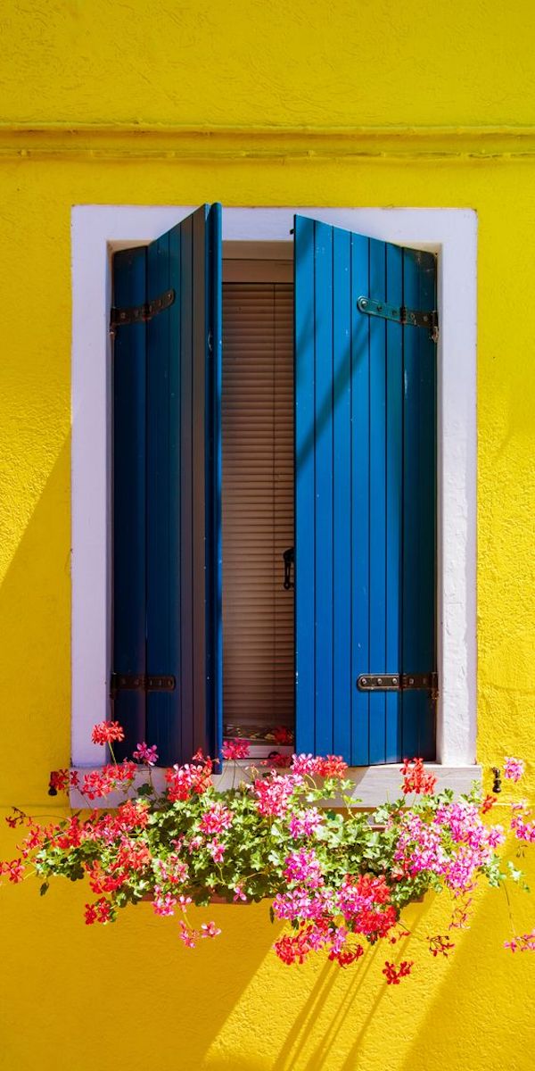 Absolutely gorgeous beautiful windows with colorful, magical flowers ...