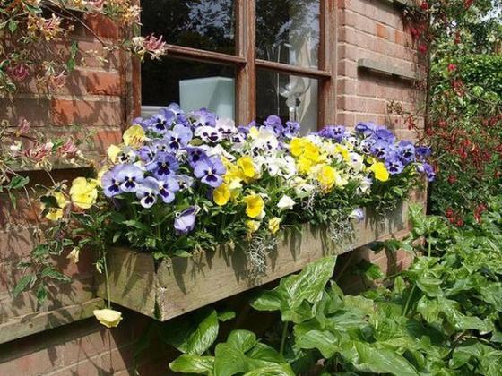 Absolutely gorgeous beautiful windows with colorful, magical flowers ...
