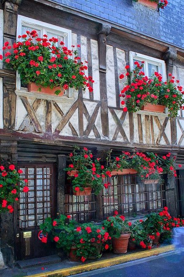 Absolutely gorgeous beautiful windows with colorful, magical flowers ...