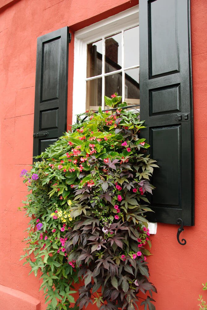 Absolutely gorgeous beautiful windows with colorful, magical flowers ...