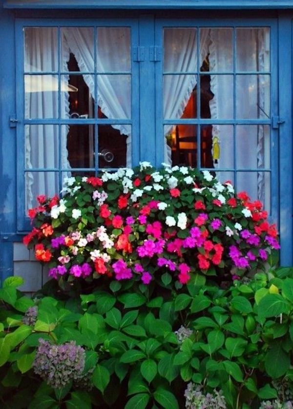 Absolutely gorgeous beautiful windows with colorful, magical flowers ...